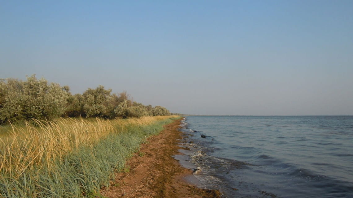 "Погана погода – це плюс": триває операція ЗСУ із визволення ...